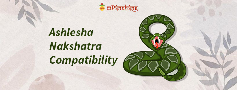 Ashlesha Nakshatra Compatibility in Marriage With All Other Nakshatras