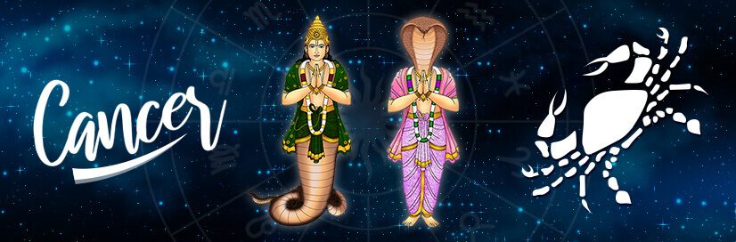 Rahu Ketu Transit Impact On Cancer in 2024- Full Prediction Report